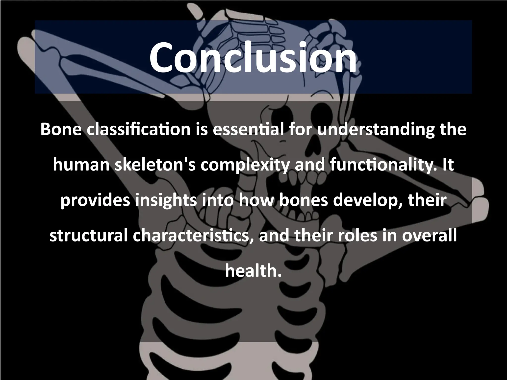classification_of_bonesClassBon_ppt1.pptx