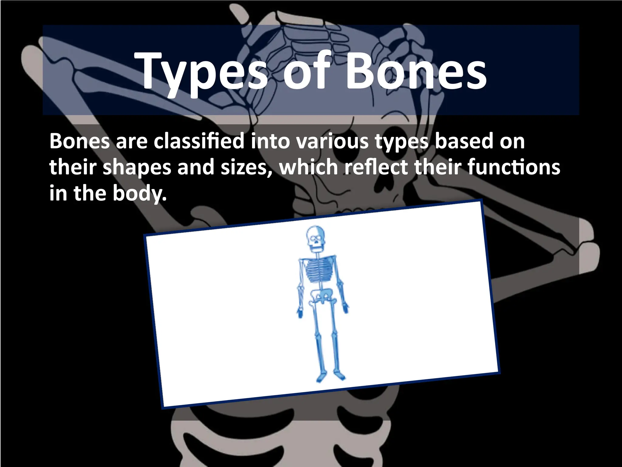 classification_of_bonesClassBon_ppt1.pptx