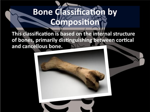 classification_of_bonesClassBon_ppt1.pptx