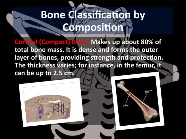classification_of_bonesClassBon_ppt1.pptx