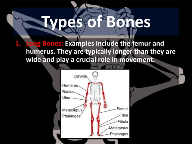 classification_of_bonesClassBon_ppt1.pptx