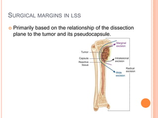 CLASSIFICATION OF BONE TUMORS & PRINCIPLES OF LIMB.pptx