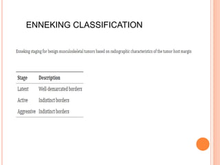 CLASSIFICATION OF BONE TUMORS & PRINCIPLES OF LIMB.pptx
