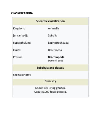 Classification of brachiopoda | PDF