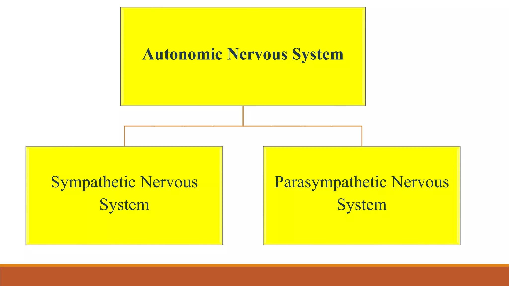 Classification of nervous system | PPTX