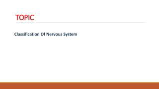Classification of nervous system | PPTX