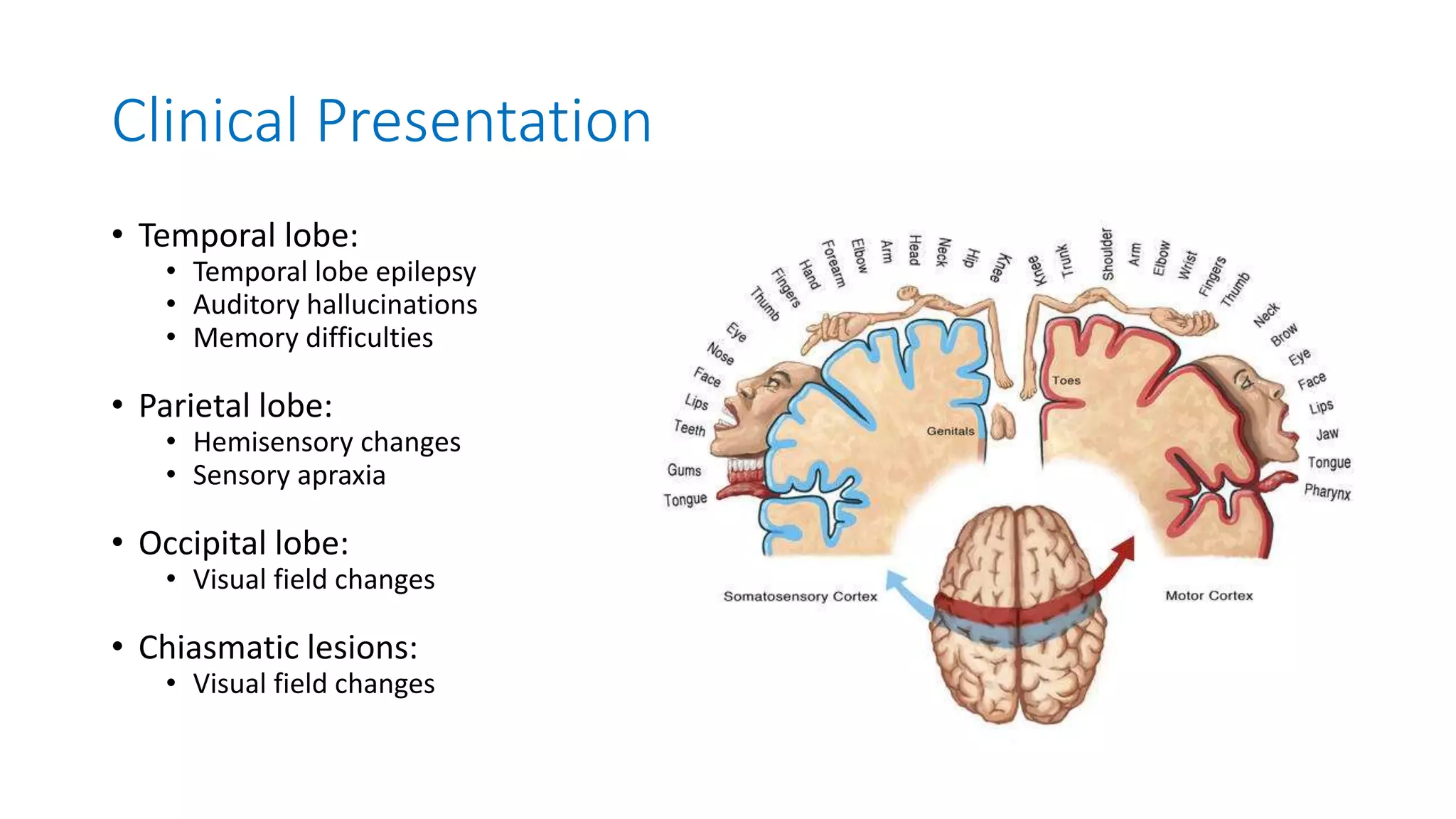 2021 WHO Classification of brain tumours.pptx