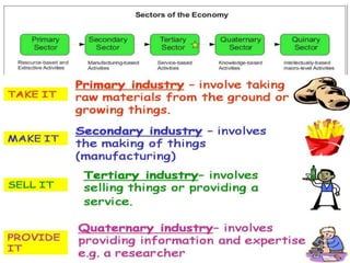 Sectors of Economy and Functions of Business PGP VIVA VVIT | PPTX