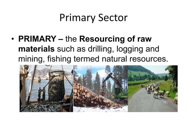 Classification of business activity | PPTX | Business | Business and ...