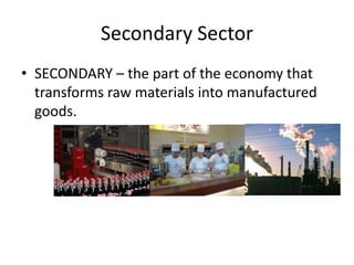 Classification of business activity | PPTX