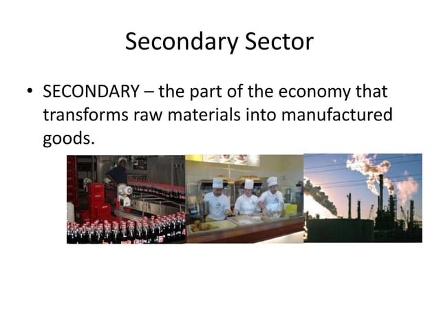 Classification of business activity | PPT