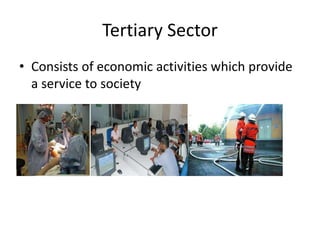 Classification of business activity | PPTX