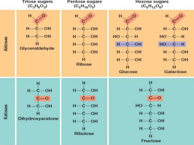 Classification of carbohydrates