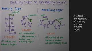Classification of carbohydrates based on their reducing properties. | PPTX