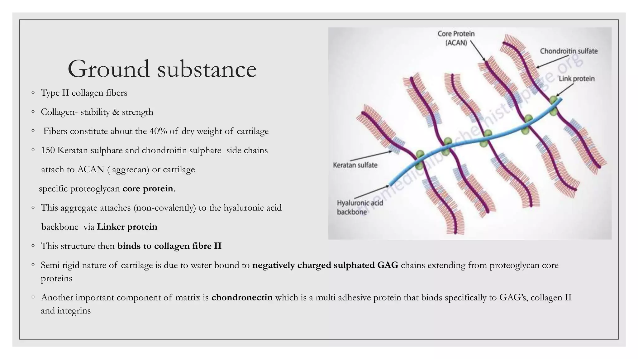 Classification of cartilage.pptx