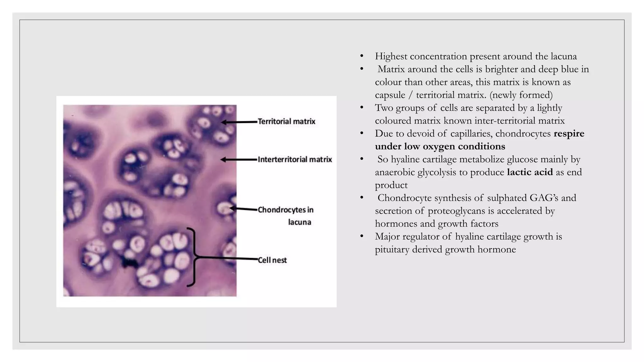 Classification of cartilage.pptx