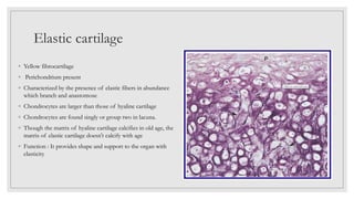 Classification of cartilage.pptx