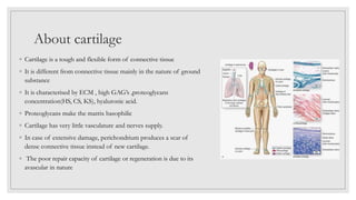 Classification of cartilage.pptx