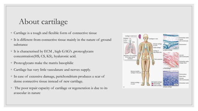 Classification of cartilage.pptx