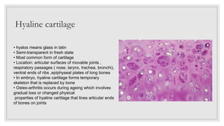 Classification of cartilage.pptx