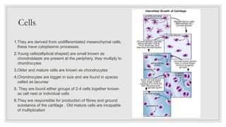 Classification of cartilage.pptx