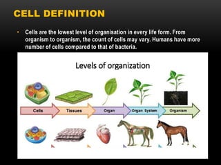 CLASSIFICATION OF CELL.pdf presentation. | PDF
