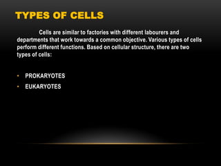 CLASSIFICATION OF CELL.pdf presentation. | PDF