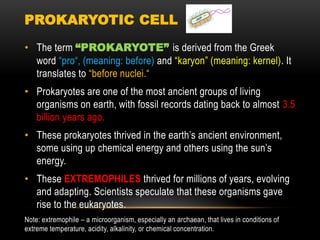 CLASSIFICATION OF CELL.pdf presentation. | PDF