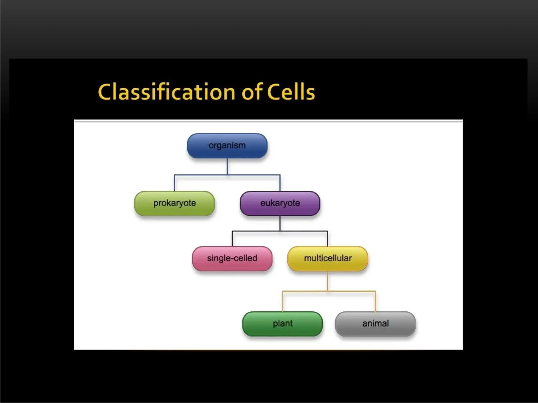 CLASSIFICATION OF CELL.pptx lesson powerpoint | PPTX