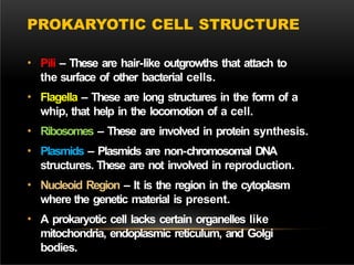 CLASSIFICATION OF CELL.pptx lesson powerpoint | PPTX