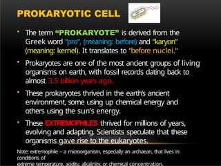 CLASSIFICATION OF CELL.pptx lesson powerpoint | PPTX