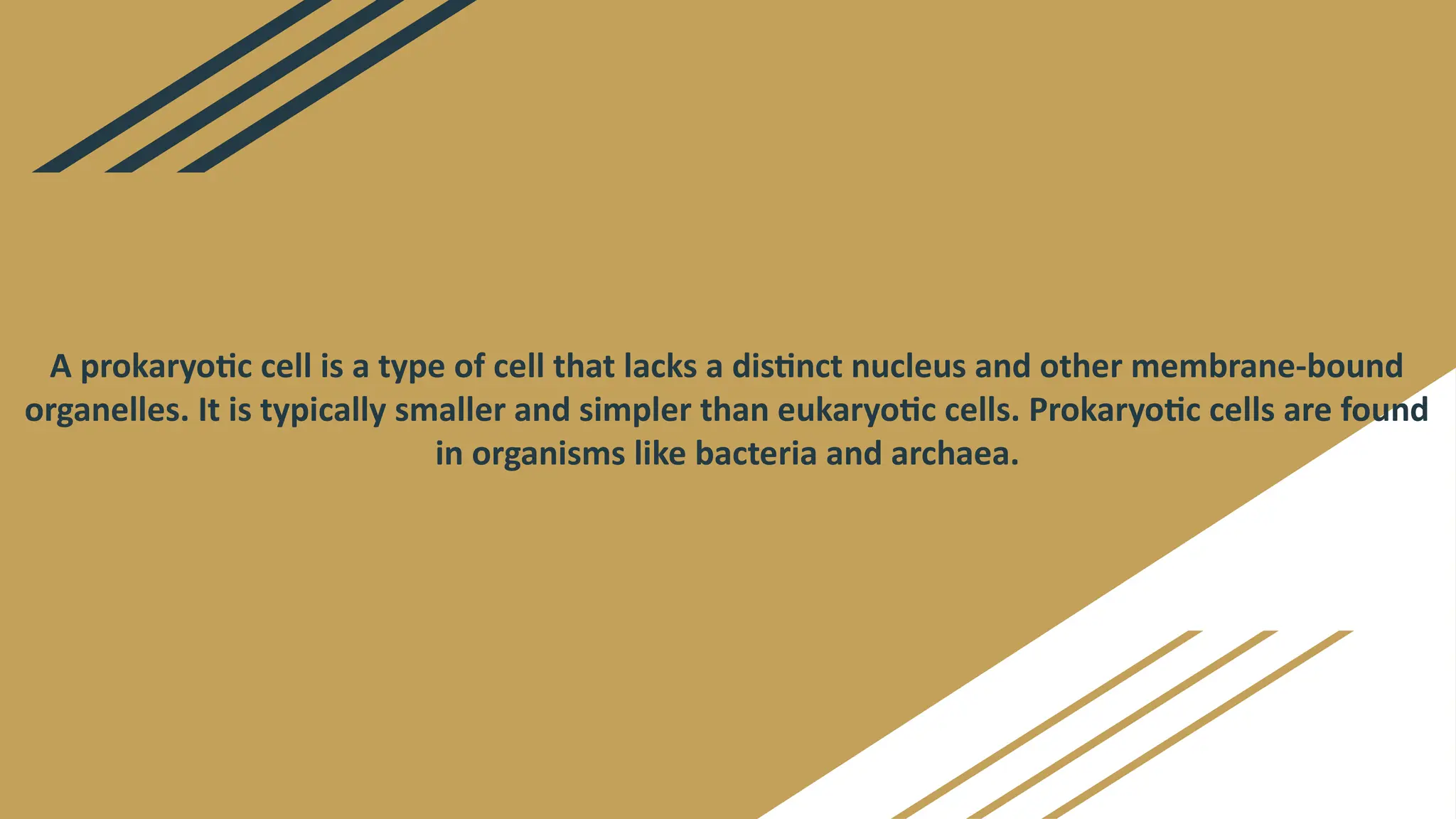 Classification of Cells In Living Organism | PPT