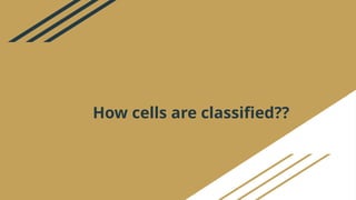 Classification of Cells In Living Organism | PPT