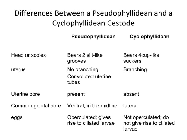 Classification of cestodes | PPT | Reptiles | Pets