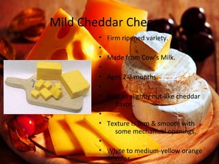 Classification of cheese | ODP
