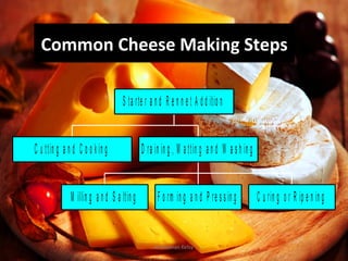 Classification of cheese | ODP