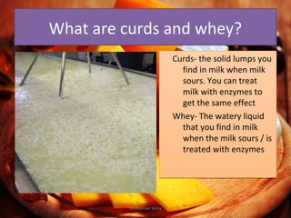 Classification of cheese | ODP