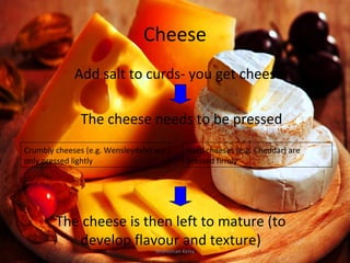 Classification of cheese | ODP