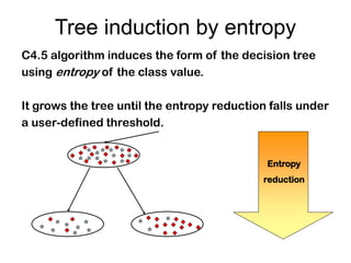 Classification of chestnuts with feature selection by noise resilient ...