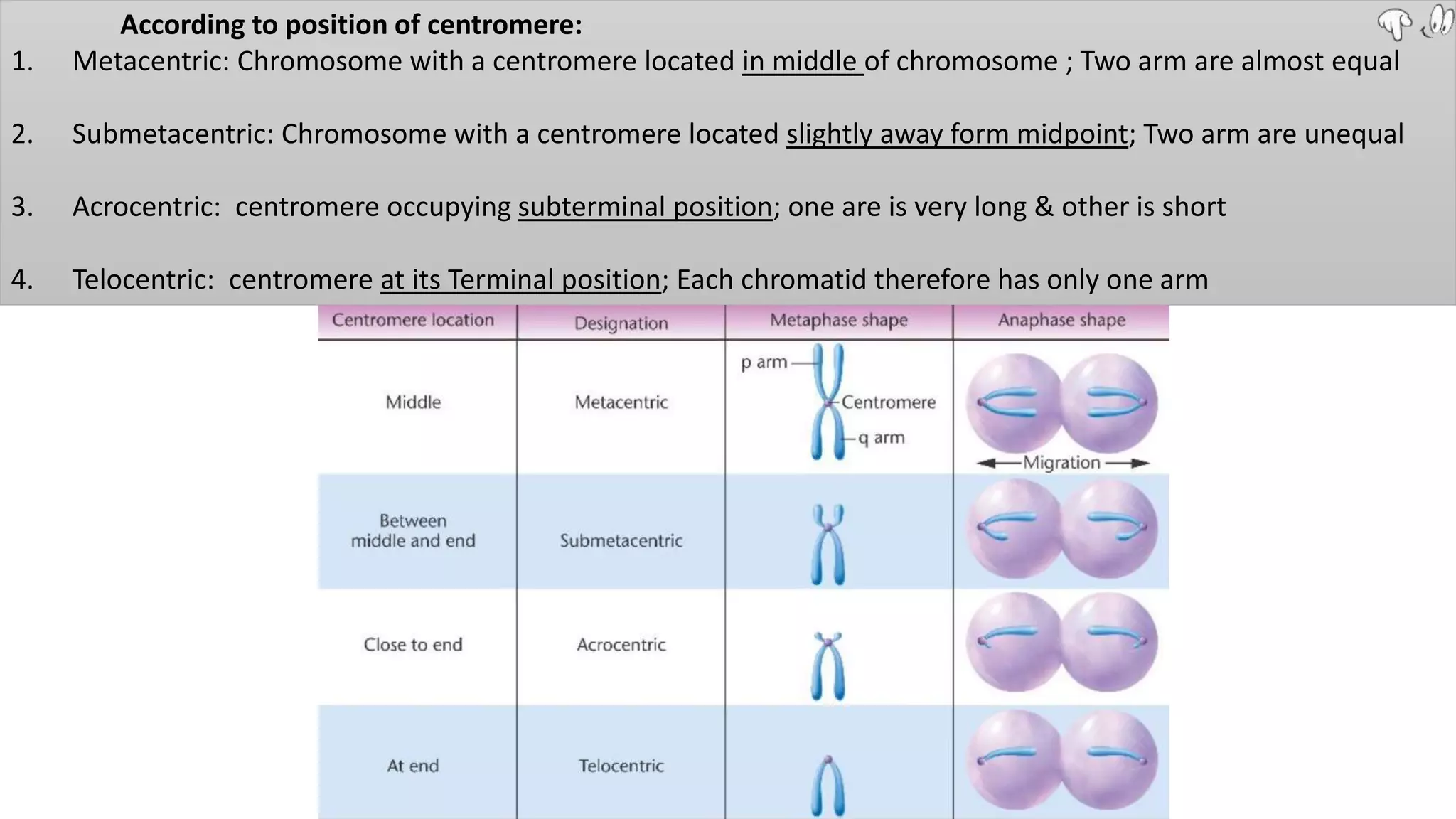 Classification of chromosome & karyotyping | PPTX