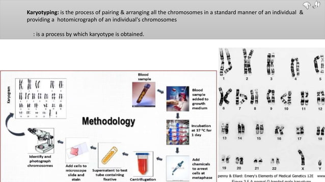 Classification of chromosome & karyotyping | PPTX