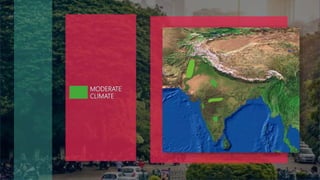 Classification of climates | PPTX