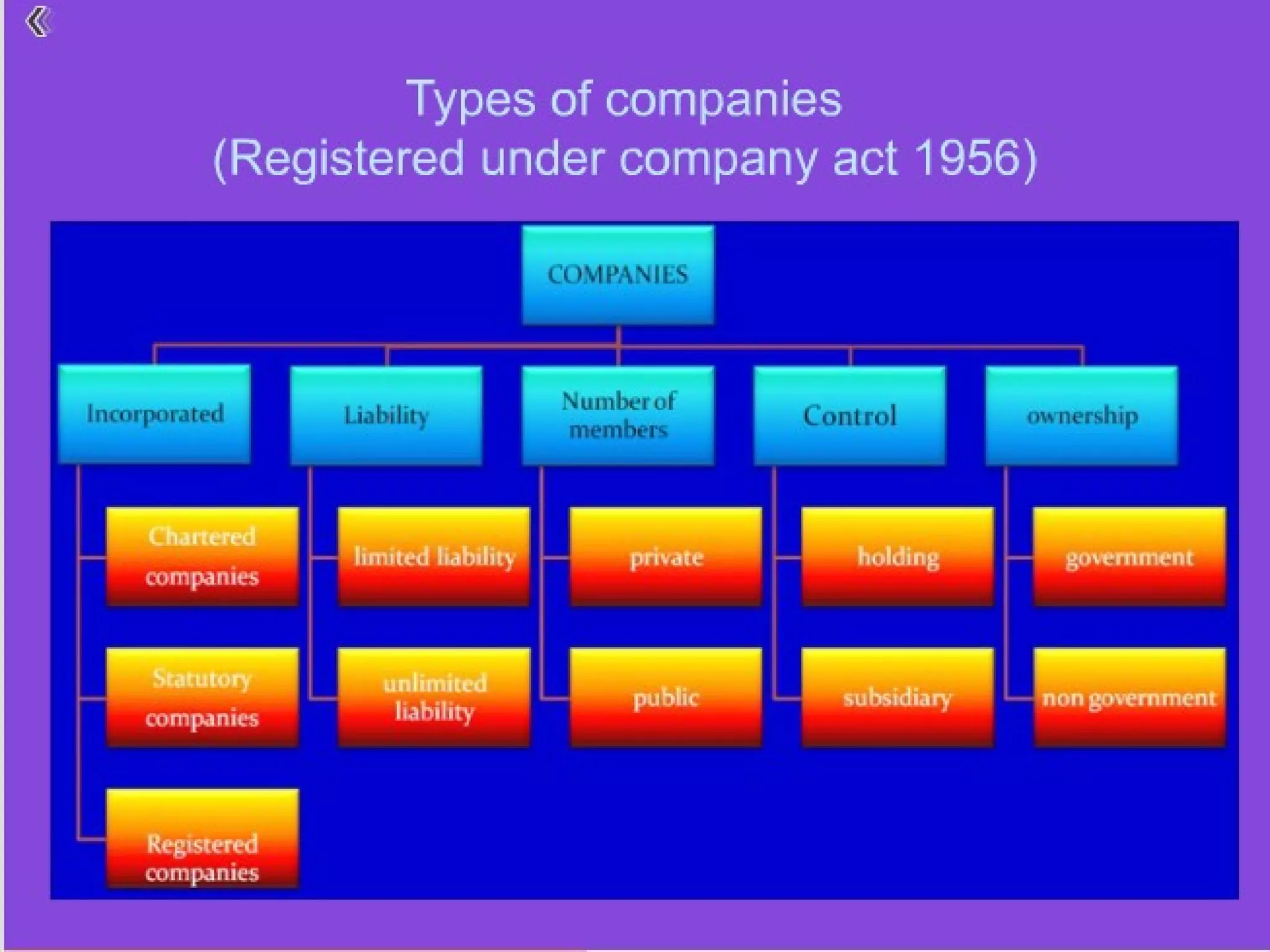 Classification of companies | PPT
