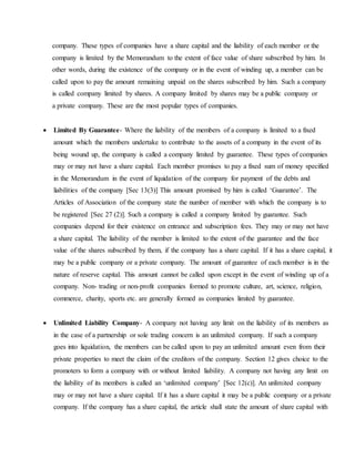 Classification of companies | DOCX