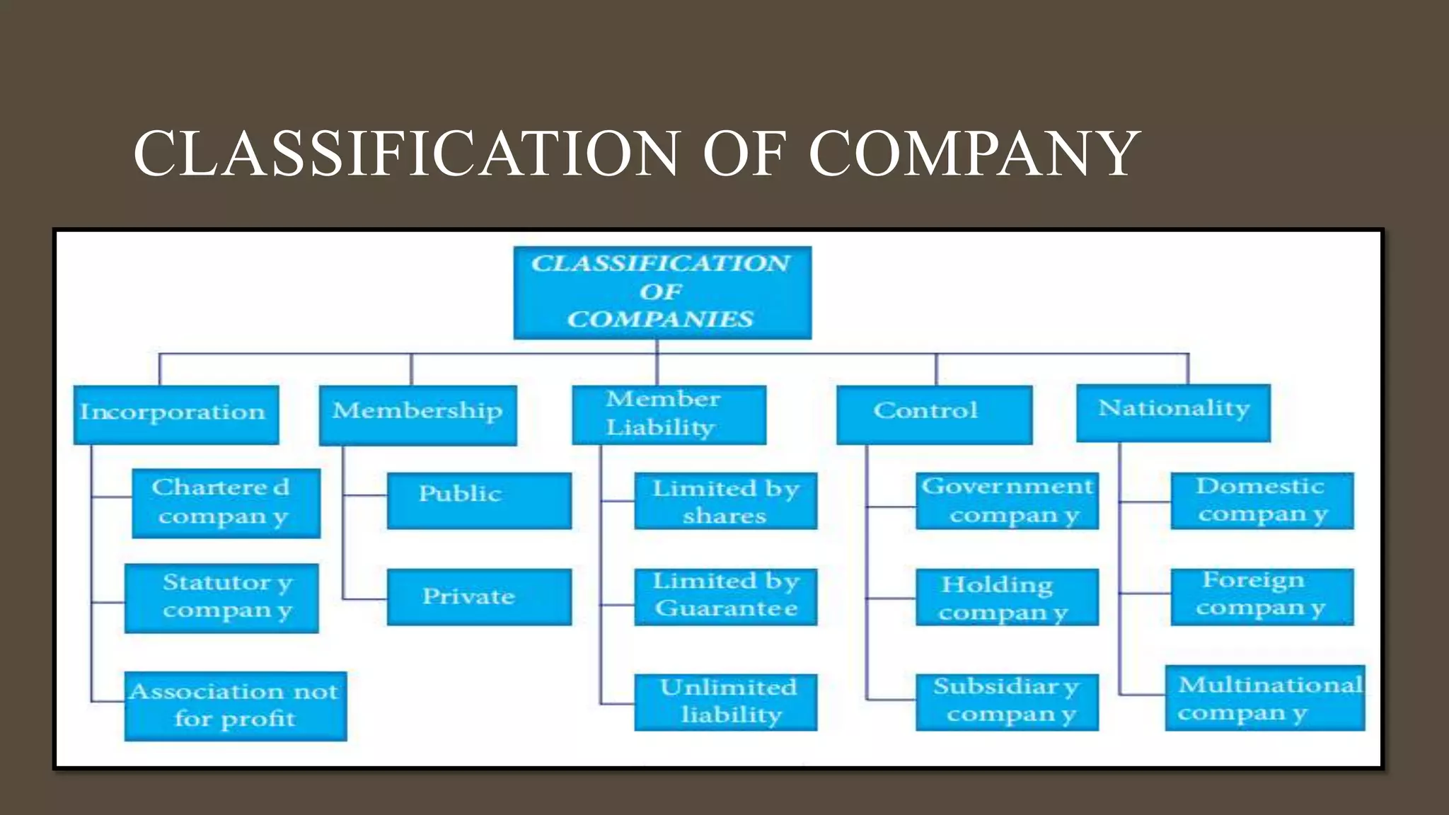 Classification of companies. (bl ppt) | PPTX