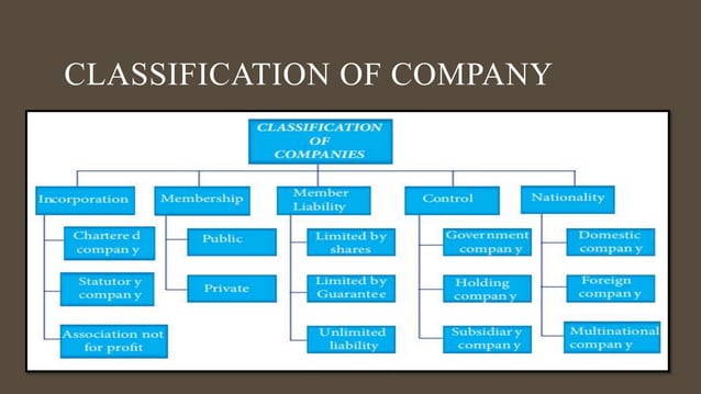 Classification of companies. (bl ppt) | PPTX