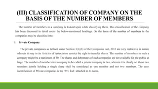 Classification of Companies | PPTX