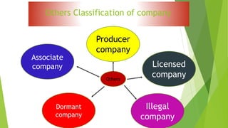 Classification of Company | PPTX
