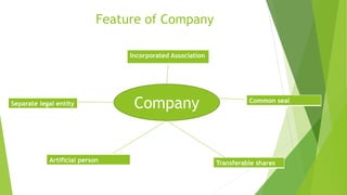 Classification of Company | PPTX