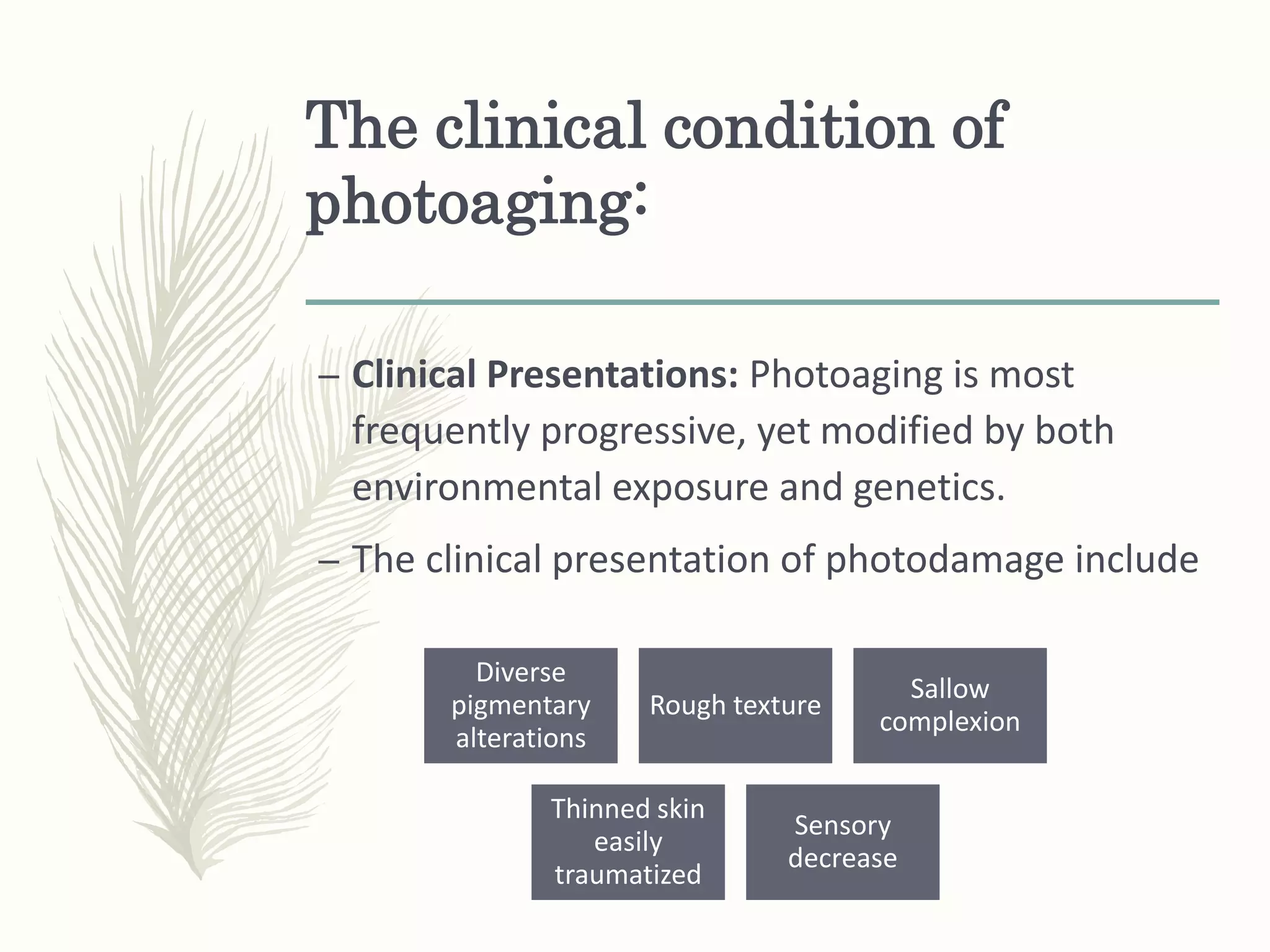 Classification of cosmeceuticals | PPTX